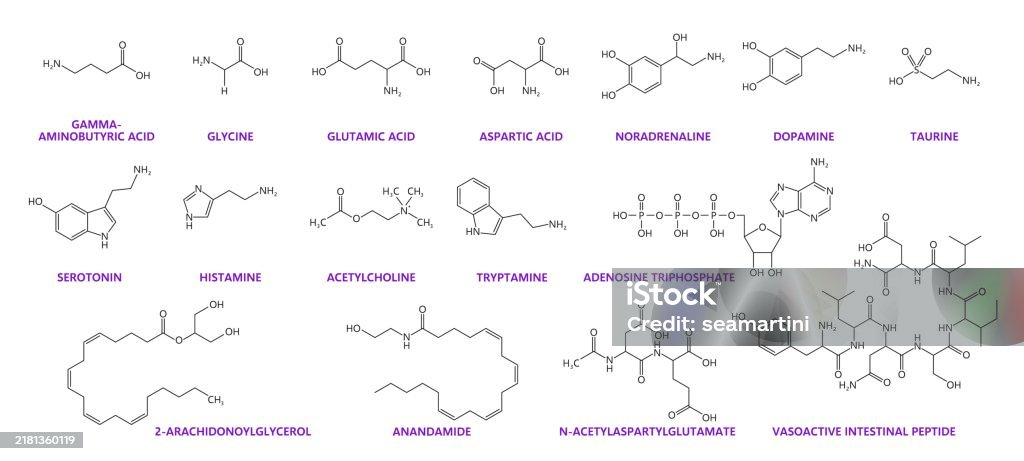 Neurotransmitter Chemical Formulas And Structures Stock Illustration ... Neurotransmitter Chemical Formulas And Structures Stock Illustration ...