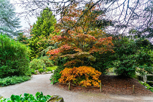 Kubota Gardens Fall Path 6 Stock Photo - Download Image Now - Autumn ... Kubota Gardens Fall Path 6 Stock Photo - Download Image Now - Autumn ...