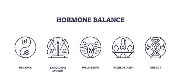 Homeostasis Clipart Vector PNG , SVG, EPS, PSD, AI