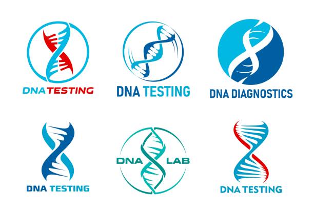 90 Vector Dna String Stock Illustrations Royalty Free Vector Graphics