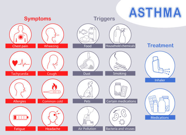 70+ Asthma Triggers Stock Illustrations, Royalty-Free Vector Graphics ... 70+ Asthma Triggers Stock Illustrations, Royalty-Free Vector Graphics ...