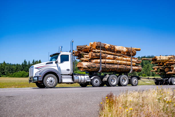 40 Big Rig Classic Semi Truck Flat Bed Trailers Carry Lumber Stock