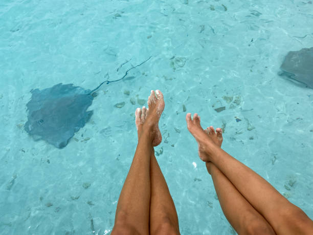Free Stock Photo of Close up of two female feet floating in blue water ...