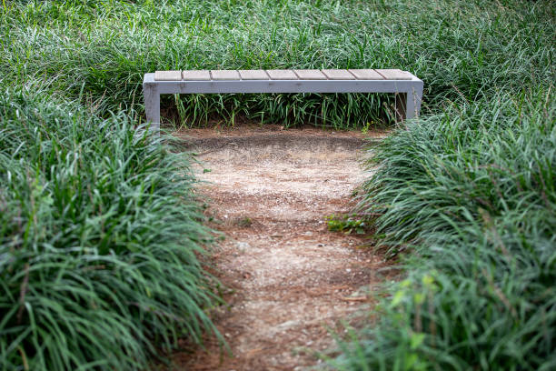 Free Stock Photo of Wooden Bench in Lush Green Park | Download Free ...