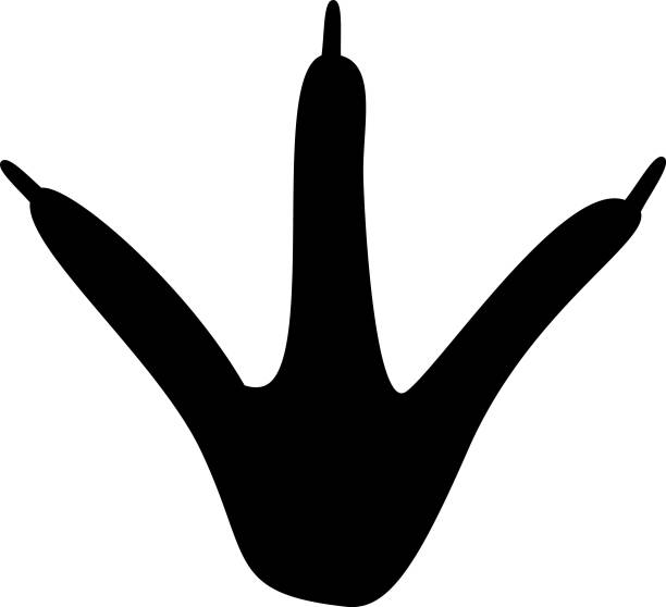 Download Chicken Feet, Footprint, Pattern. Royalty-Free Stock ...
