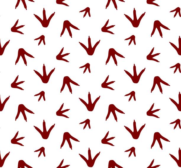 Download Chicken Feet, Footprint, Pattern. Royalty-Free Stock ...