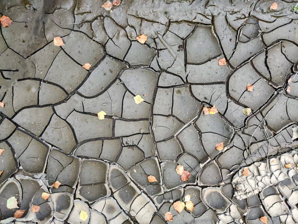 Free picture: Bright grey dry mud on ground in drought season