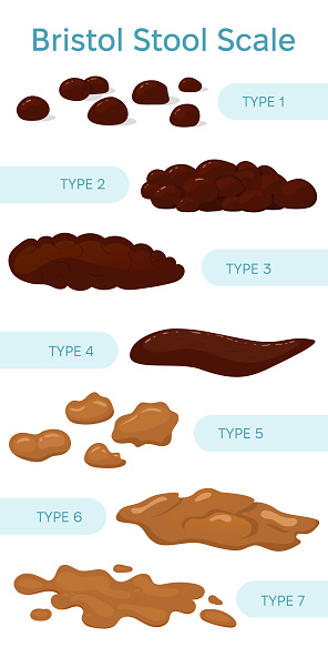 Human Stool Types Vector Illustration Bristol Stool Scale From ... Human Stool Types Vector Illustration Bristol Stool Scale From ...