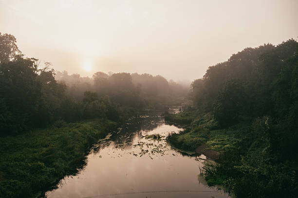 Barta River At Dawn With Fog And Soft Morning Light, Latvia – Free ...