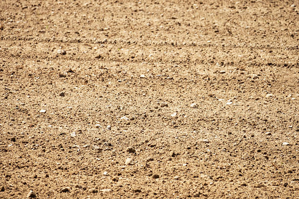 Free picture: Empty flat field soil agricultural farmland