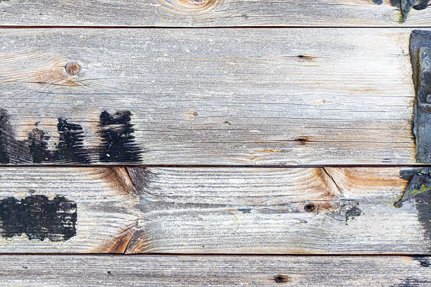 Free picture: Dark grey and black decay wooden planks texture