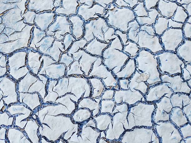 Free picture: Close-up of dry ground texture in mud flats
