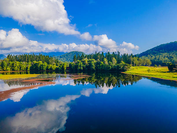 Free picture: Panorama with reflection of trees and clouds in the sky ...