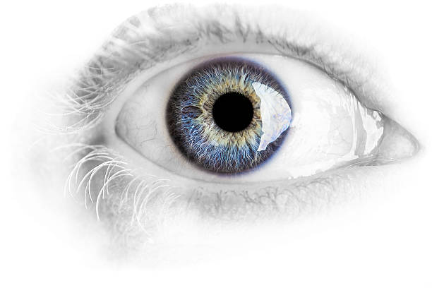 Open Eyes Pictures | Download Free Images on Unsplash
