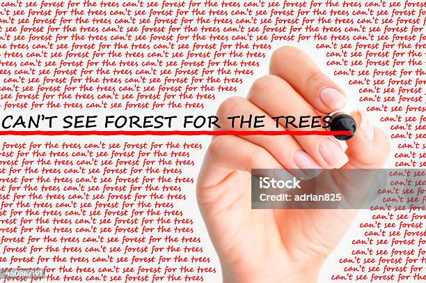 Cant See Forest For The Trees Concept Stock Photo - Download Image Now ... Cant See Forest For The Trees Concept Stock Photo - Download Image Now ...