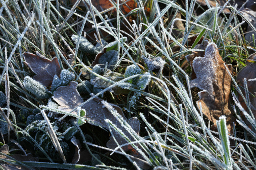Frost 터치스크린을 사용하는 두 아이 0명에 대한 스톡 사진 및 기타 이미지 0명 10월 Nettle Istock