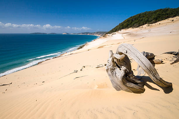 fraser-island Premium Photos, Pictures and Images by Istock