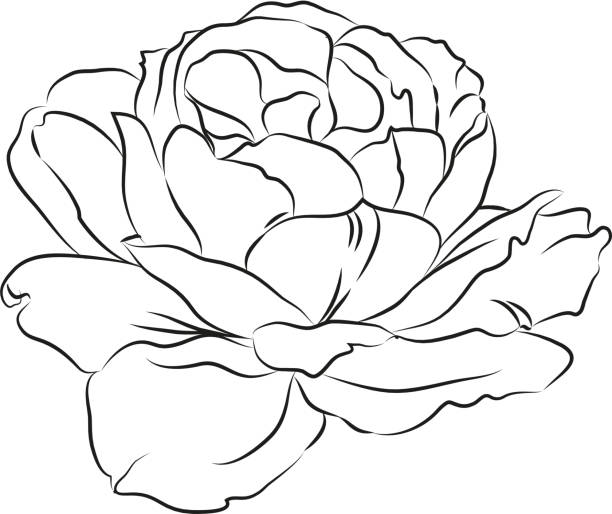 250+ Flores Templates Stock Photos, Pictures & Royalty-Free Images - iStock 250+ Flores Templates Stock Photos, Pictures & Royalty-Free Images - iStock