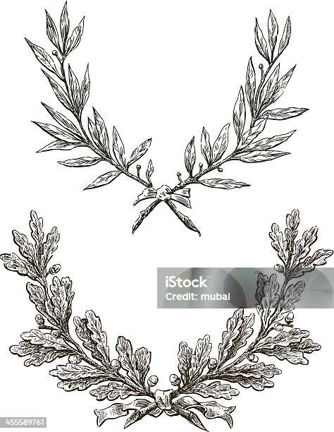 Laurel 및 오크 지점 월계관에 대한 스톡 벡터 아트 및 기타 이미지 월계관 월계수 나무 드로잉 Istock