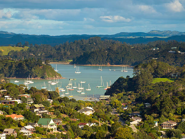 Coromandel Pictures | Download Free Images on Unsplash