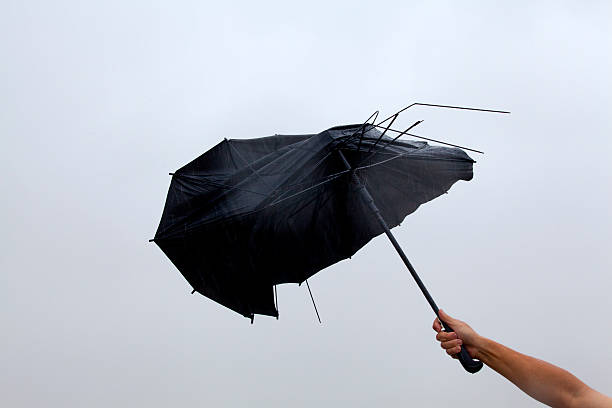 Broken Umbrella Pictures | Download Free Images on Unsplash
