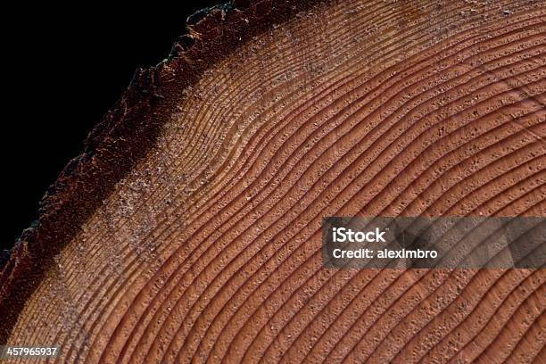 Wood Texture 照片檔及更多 年輪 照片 年輪 樹 木材 材料 Istock