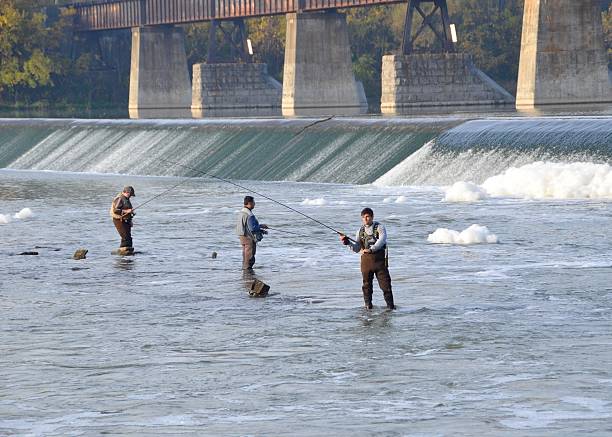 Free Stock Photo of River below dam trout fishing | Download Free ...