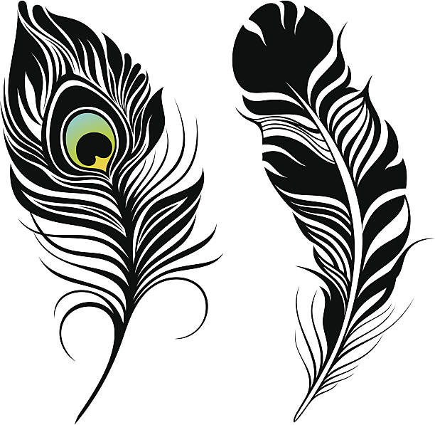 11600 Peacock Feather Vector Stock Illustrations Royalty Free Vector Graphics And Clip Art Istock