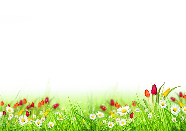 100,000+ Free Spring Border & Border Images - Pixabay