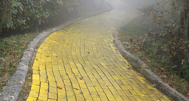 Yellow Brick Pictures | Download Free Images on Unsplash