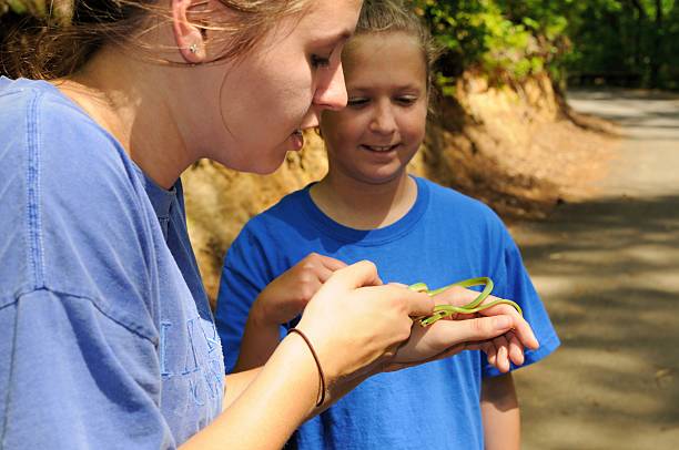 Free picture: children, play, snake, outdoor