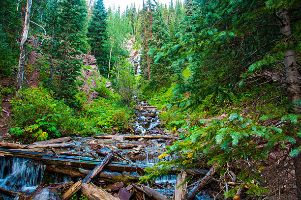 Trickling Waterfall in the Forest – Free Nature Stock