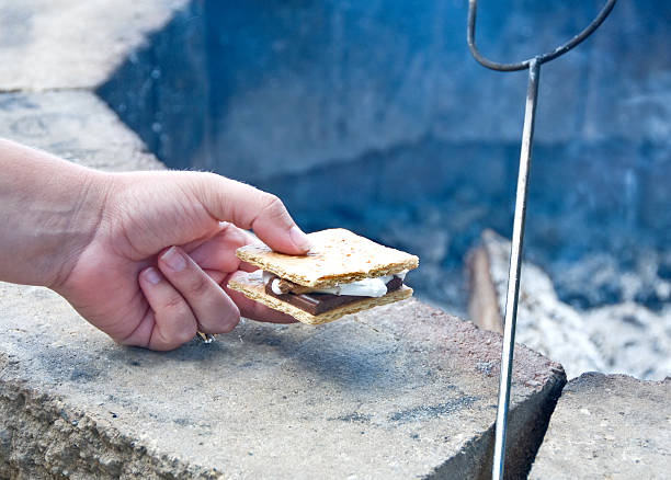 Free Stock Photo of A hand holding a smores over a fire | Download Free ...