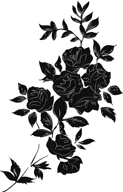 50 Silhouette Of Rose Bush Tattoos Ilustrasi Grafik Vektor And Clip