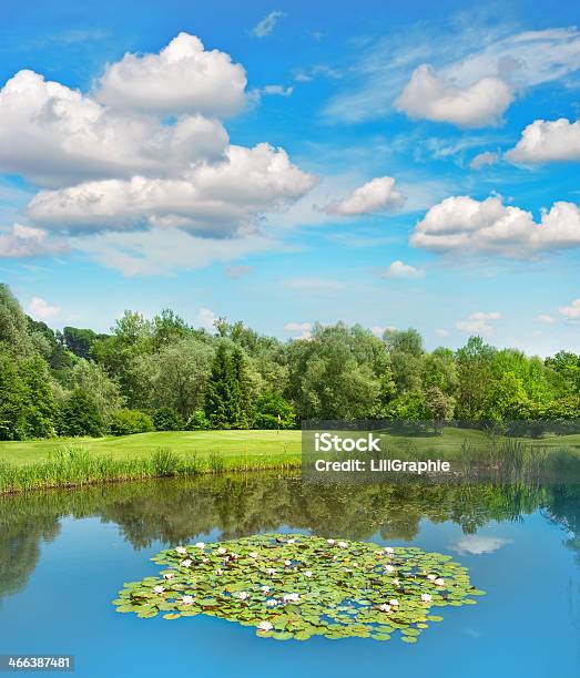 Lapangan Golf Dengan Danau Dan Langit Biru Yang Indah Foto Stok - Unduh ... Lapangan Golf Dengan Danau Dan Langit Biru Yang Indah Foto Stok - Unduh ...