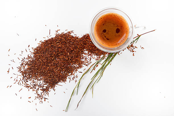 Rooibos Pictures | Download Free Images on Unsplash