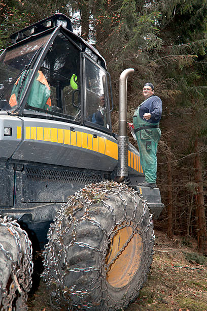 150 Feller Buncher Fotos De Stock Imagens E Fotos Royalty Free Istock