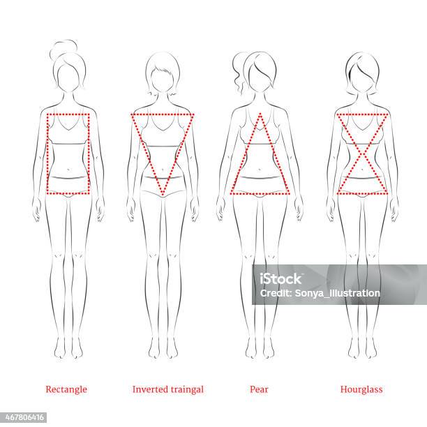 Female Body Types Stok Vektör Sanatı And Kum Saati‘nin Daha Fazla Görseli
