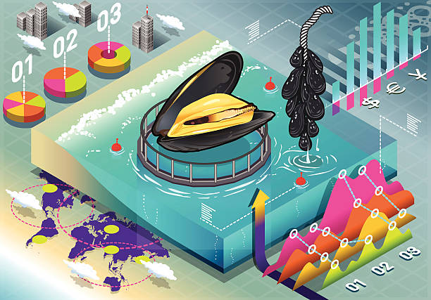 310 Mussel Farm Stock Illustrations Royalty Free Vector Graphics
