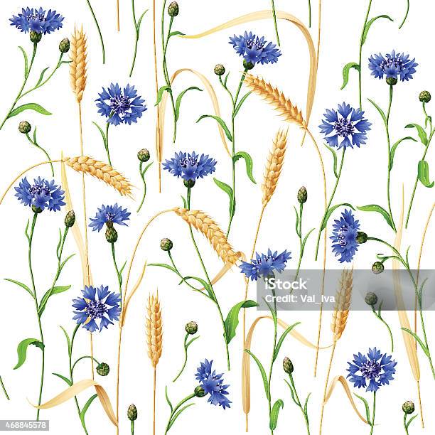 Cornflowers 및 위트 귀 패턴 수레국화에 대한 스톡 벡터 아트 및 기타 이미지 수레국화 밀 0명 Istock