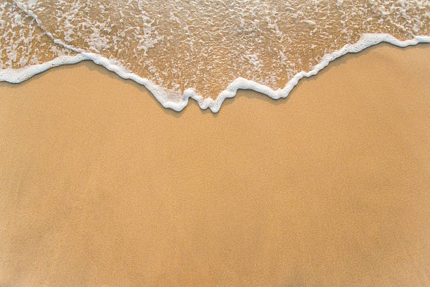 Wet Sand Pictures | Download Free Images on Unsplash