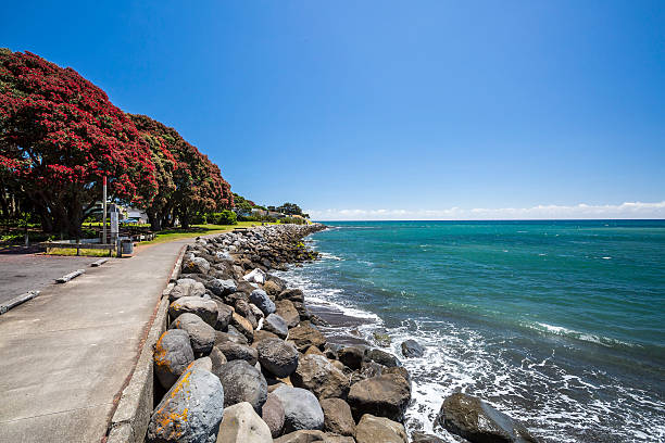 New Plymouth Pictures | Download Free Images on Unsplash