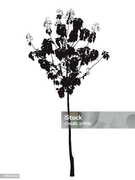 Teak Tree Silhouette Vector向量圖形及更多柚樹圖片 柚樹 樹葉 2015年 Istock