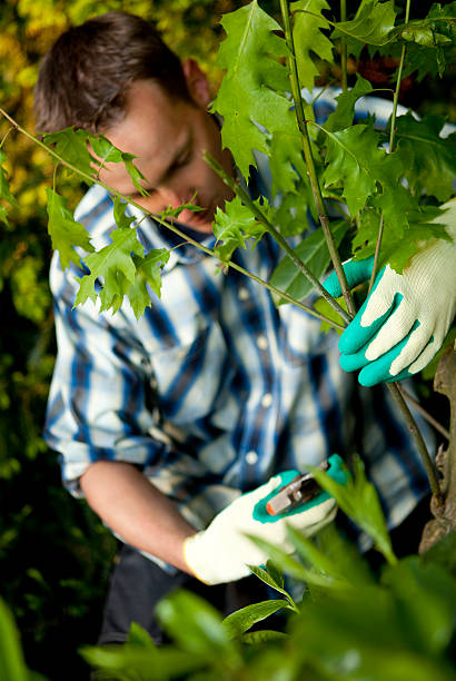 Horticulturalist Pictures | Download Free Images on Unsplash