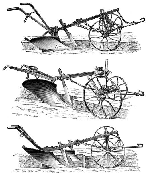 110+ Ancient Plough Stock Illustrations, Royalty-Free Vector Graphics ... 110+ Ancient Plough Stock Illustrations, Royalty-Free Vector Graphics ...