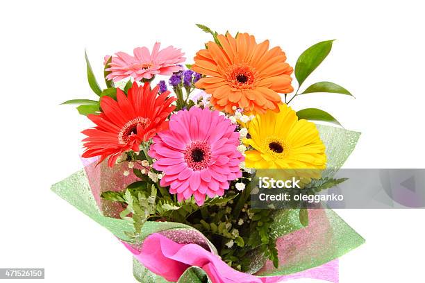 Gerbera 아이리스입니다 흰색 바탕에 흰색 배경 0명에 대한 스톡 사진 및 기타 이미지 0명 2015년 개체 그룹
