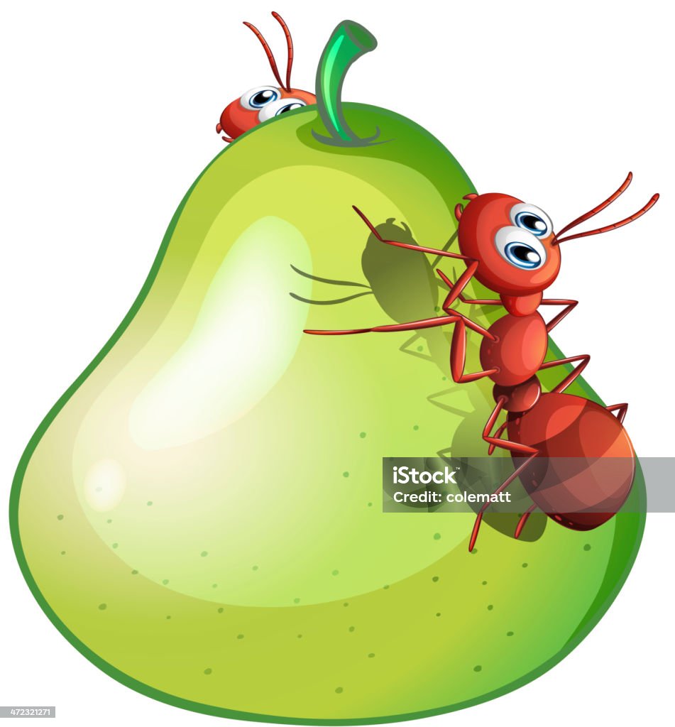 Buah Pir Dengan Dua Semut Ilustrasi Stok Unduh Gambar Sekarang Adiboga Bahan Galian Belang