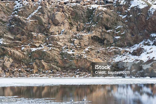 Rocky 코스트 0명에 대한 스톡 사진 및 기타 이미지 0명 2015년 갈매기 Istock