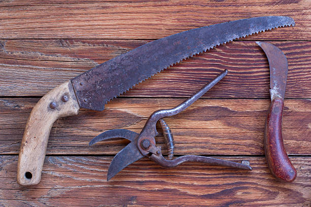 Free picture: vintage, old, old style, hand tool, tool, knife, saw ...