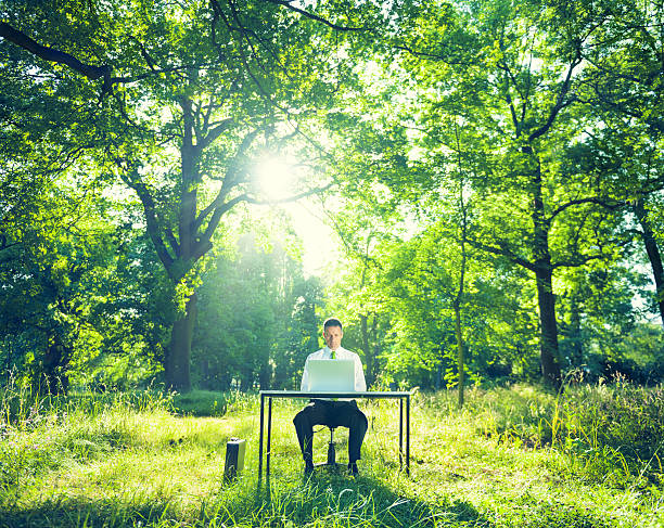 Working In Nature Pictures | Download Free Images on Unsplash